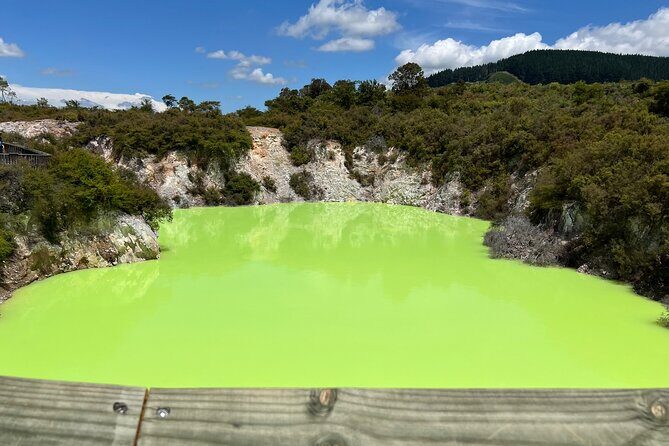 Wai-O-Tapu and Te Puia Day Trip Transport from Auckland - Who This Tour Is Perfect For