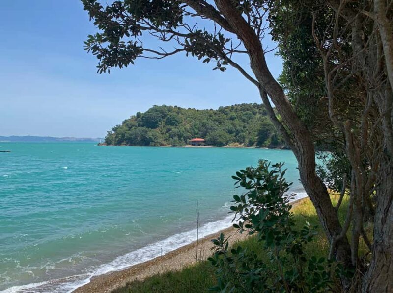 Waiheke Island: 5-Day Self-Guided Te Ara Hura Walk - Practical Details & What You Need to Know