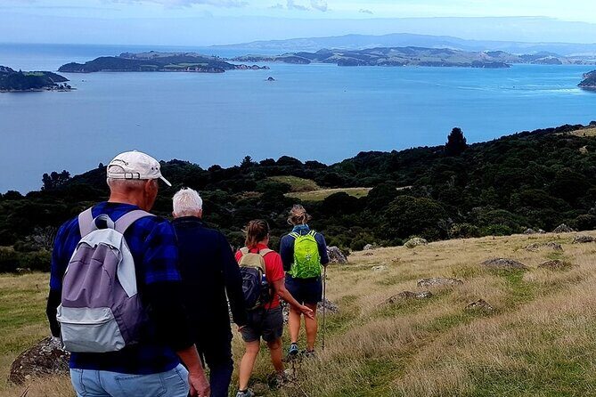 Waiheke Island 5 Day Self Guided Walking Adventure - Key Points