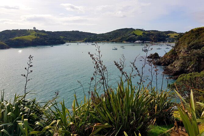 Waiheke Island 5 Day Self Guided Walking Adventure - The Sum Up: Who Should Consider This Tour?