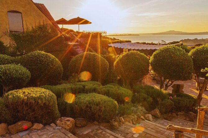 Waiheke Island: Afternoon Wine Affair with Ocean Front Lunch - Who Should Consider This Tour?