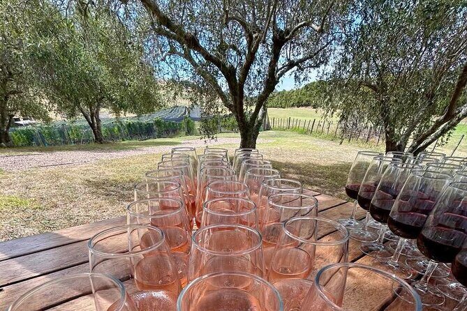 Waiheke Island: Afternoon Wine Affair with Ocean Front Lunch - Frequently Asked Questions