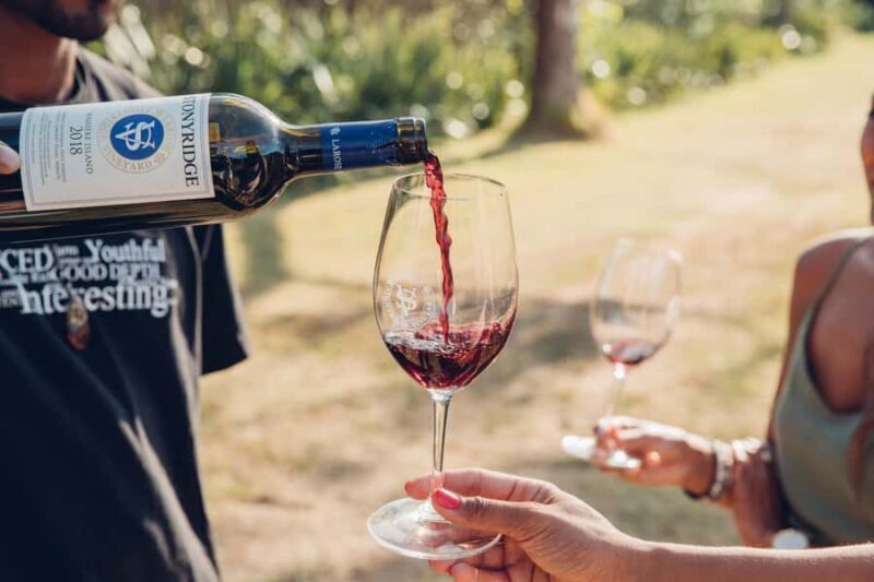 Waiheke Island: Afternoon Wine Tour with Oceanfront Lunch - Final Thoughts