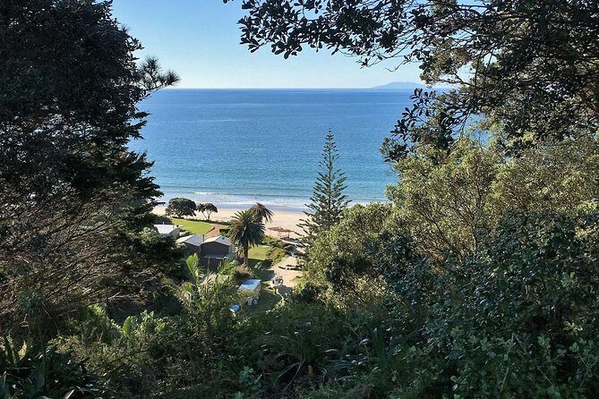 Waiheke Island Bush & Beach Walk - FAQ