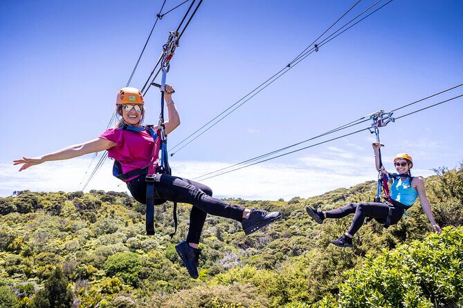 Waiheke Island Day Tour: Ziplining, Wine Tasting & Vineyard Lunch - Key Points