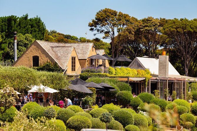 Waiheke Island Day Tour: Ziplining, Wine Tasting & Vineyard Lunch - Practical Details and Considerations