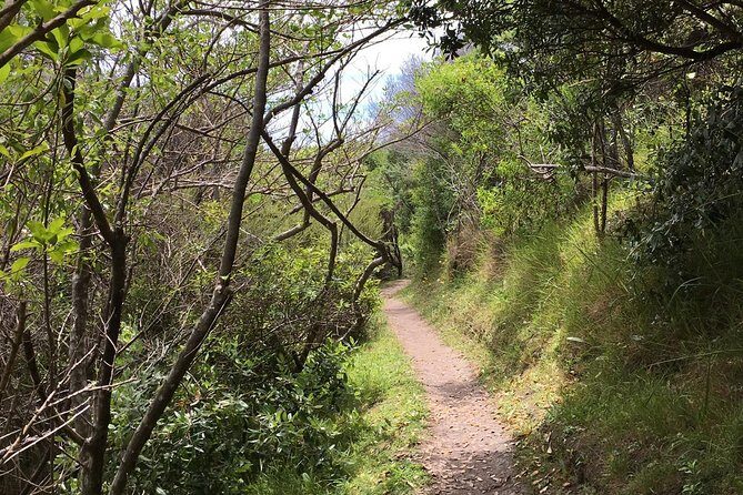 Waiheke Island Double Headland Coastal Walk - Who Is This Tour Best Suited For?