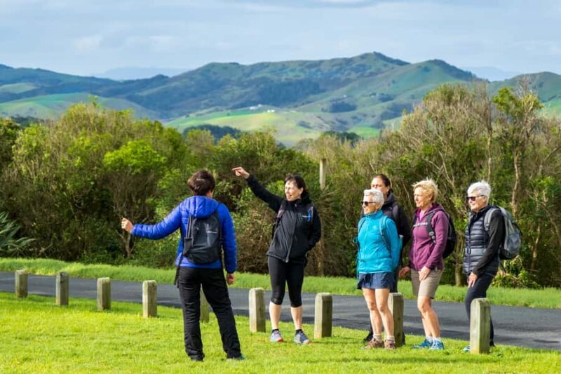 Waiheke Island: Double Headland Premium Guided Coastal Walk - An In-Depth Look at the Waiheke Island Coastal Walk