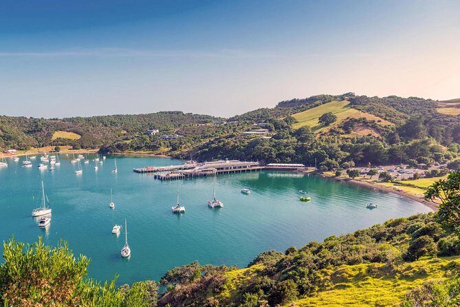 Waiheke Island - Fly and Dine (from North Shore Airport) - The Value for Money: Is It Worth It?