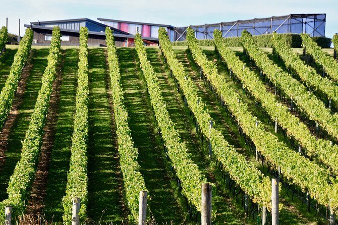 Waiheke Island - Fly and Dine (from North Shore Airport) - FAQ