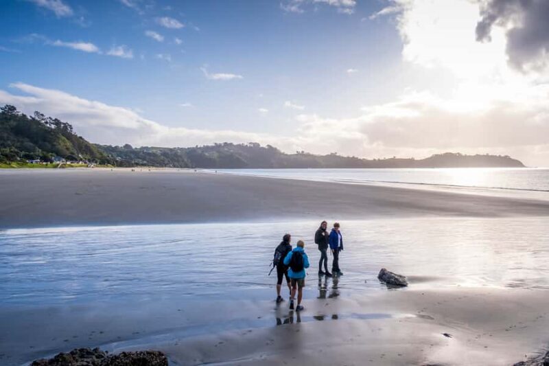 Waiheke Island: Forest and Beach Premium Guided Walk - Exploring Waiheke Island: Forest and Beach Premium Guided Walk