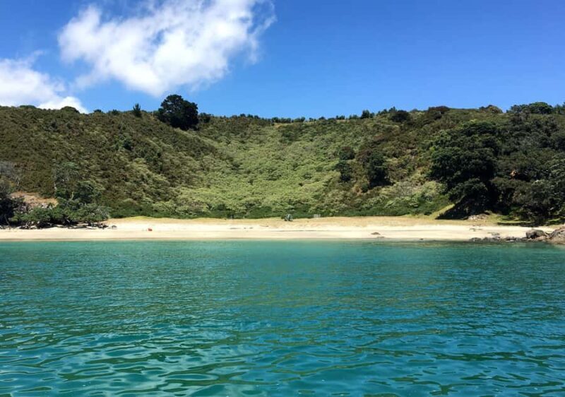 Waiheke Island: Forest and Beach Premium Guided Walk - Practical Details for Your Day Out