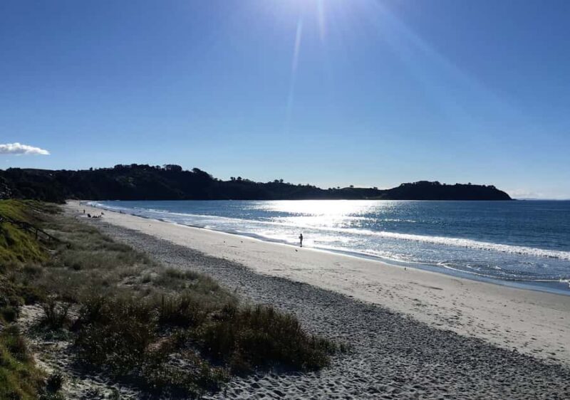 Waiheke Island: Forest and Beach Premium Guided Walk - FAQs