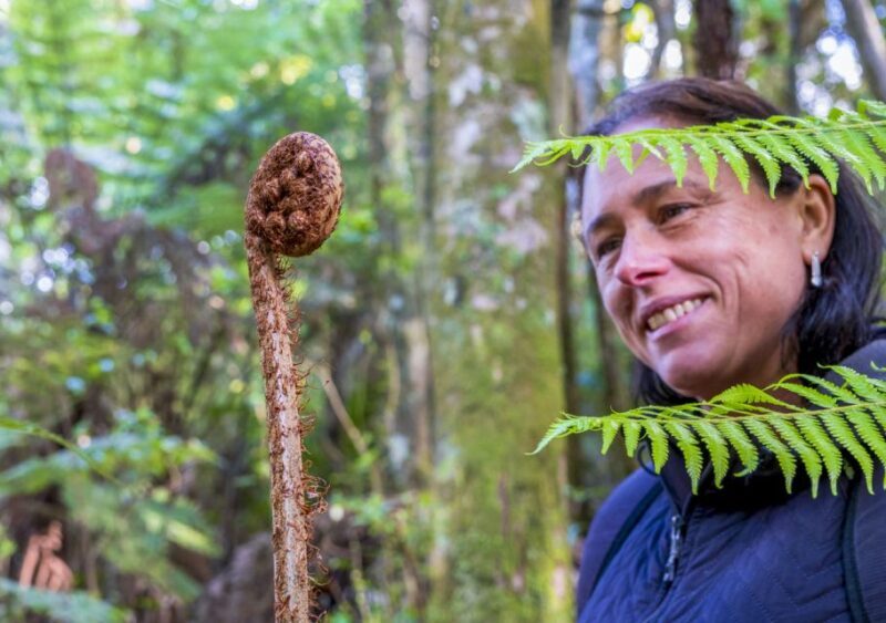 Waiheke Island: Full Day Guided History and Heritage Tour - Who Will Love This Tour?