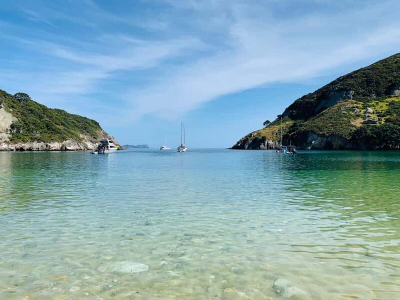 Waiheke Island: Gulf Marine Park Sailing Adventure & Lunch - Cost and Value