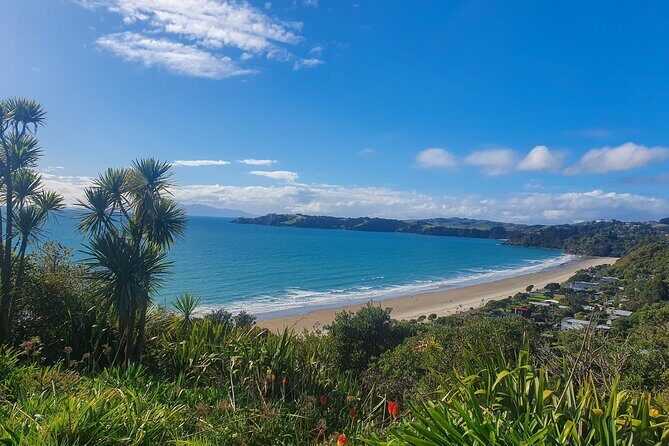Waiheke Island Half Day Scenic Wine and Lunch - The Itinerary: What to Expect on Your Waiheke Island Day