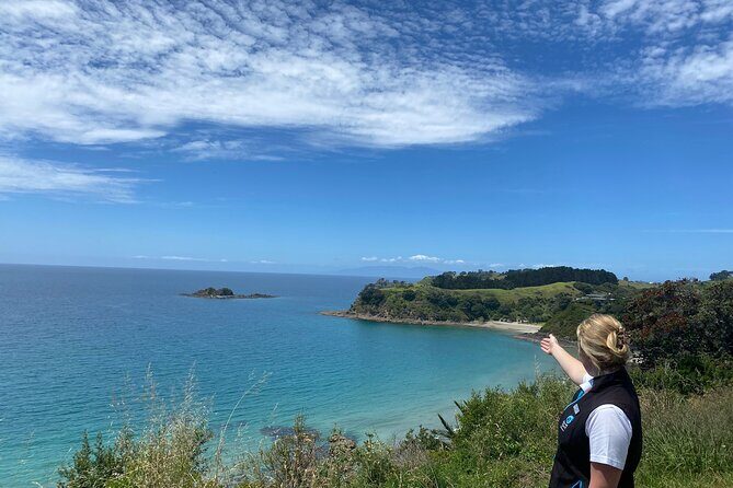 Waiheke Island Half Day Scenic Wine and Lunch - The Price, Value, and Who Should Consider It