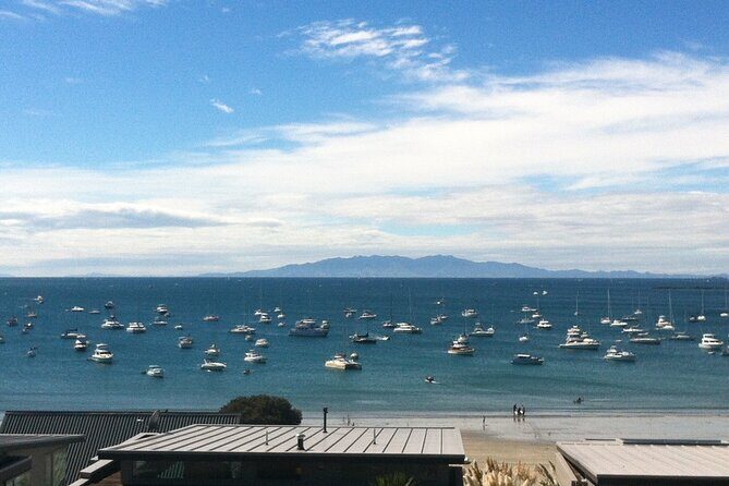 Waiheke Island Half Day Scenic Wine and Lunch - Final Thoughts