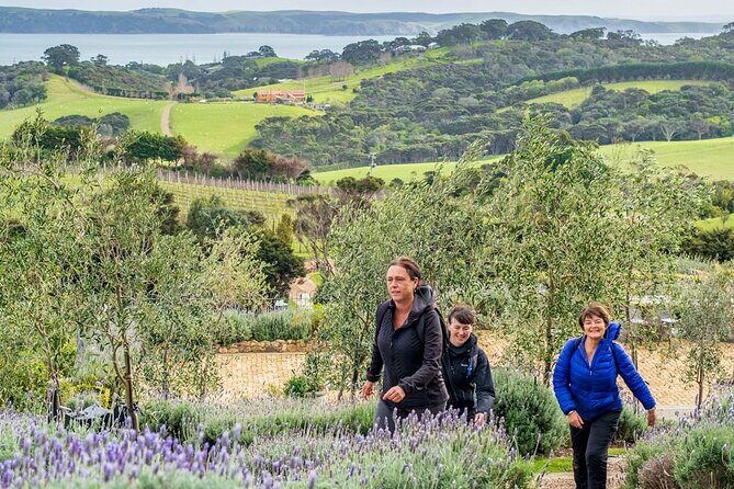 Waiheke Island History and Heritage Tour - Who Is This Tour Best For?
