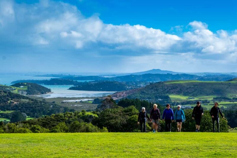Waiheke Island: Premium Vineyard, Wine Tasting and Bush Walk - Key Points
