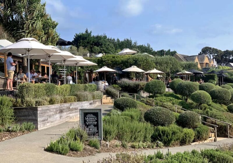 Waiheke Island: Premium Vineyard, Wine Tasting and Bush Walk - Authentic Experiences from Past Participants