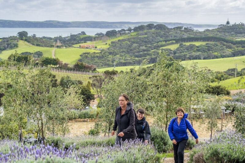 Waiheke Island: Premium Vineyard, Wine Tasting and Bush Walk - FAQs