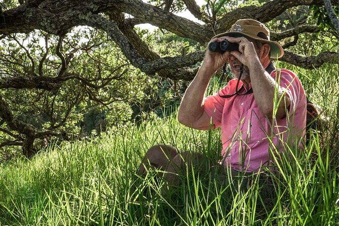 Waiheke Island Private Birding Tour - Key Points