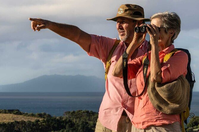 Waiheke Island Private Birding Tour - Why choose this tour?