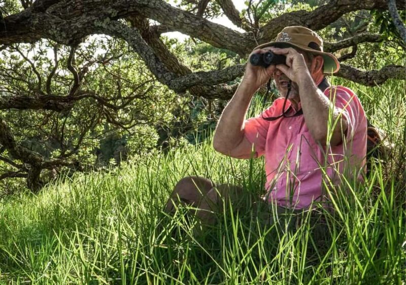 Waiheke Island: Private Birding Tour | Terra & Tide - Exploring Waiheke’s Birding Tour: What You Can Expect  