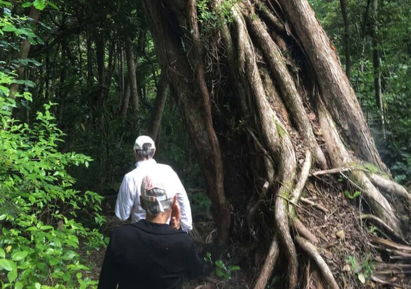 Waiheke Island: Private Guided Te Ara Hura 5-Day Walk - Who Would Love This Tour?