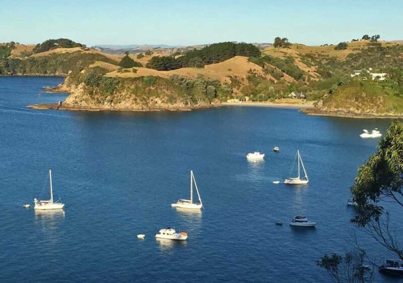 Waiheke Island: Private Guided Te Ara Hura 5-Day Walk - The Sum Up