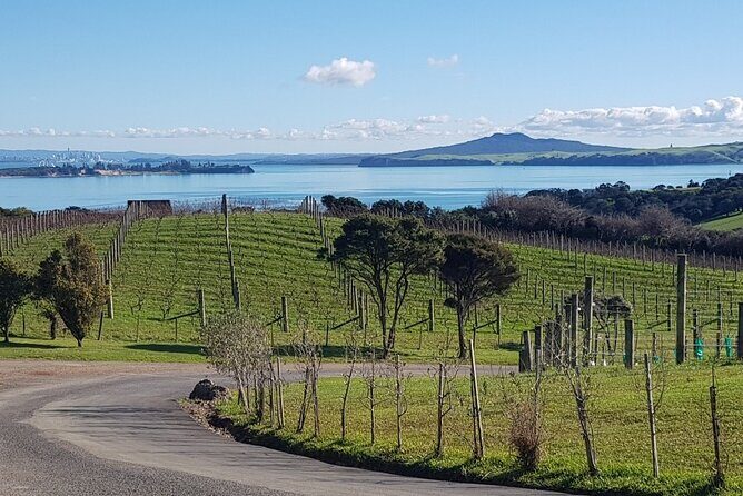 Waiheke Island Private Tours - Who Would Love This Tour?