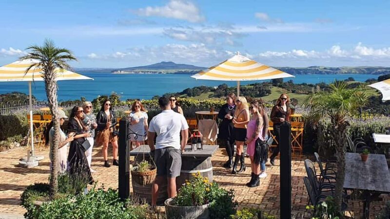 Waiheke Island: Scenic Island Wine Tour & Local Wine Tasting - An In-Depth Look at the Waiheke Island Wine Tour