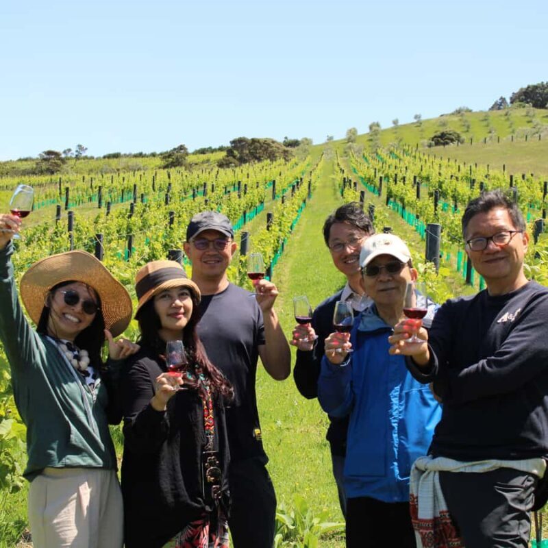 Waiheke Island Scenic Wine Tour - Key Points