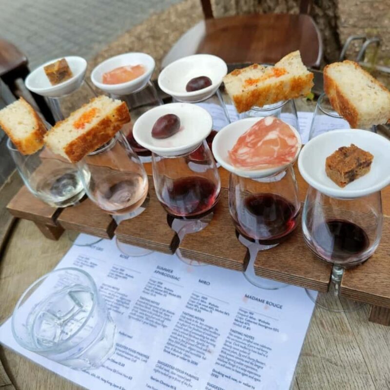 Waiheke Island Scenic Wine Tour - Who Will Love This Tour?