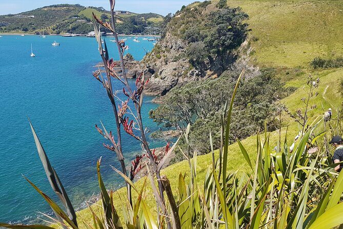 Waiheke Island Self Guided 4 Day Walking Adventure - The route: a walk through Waiheke’s best