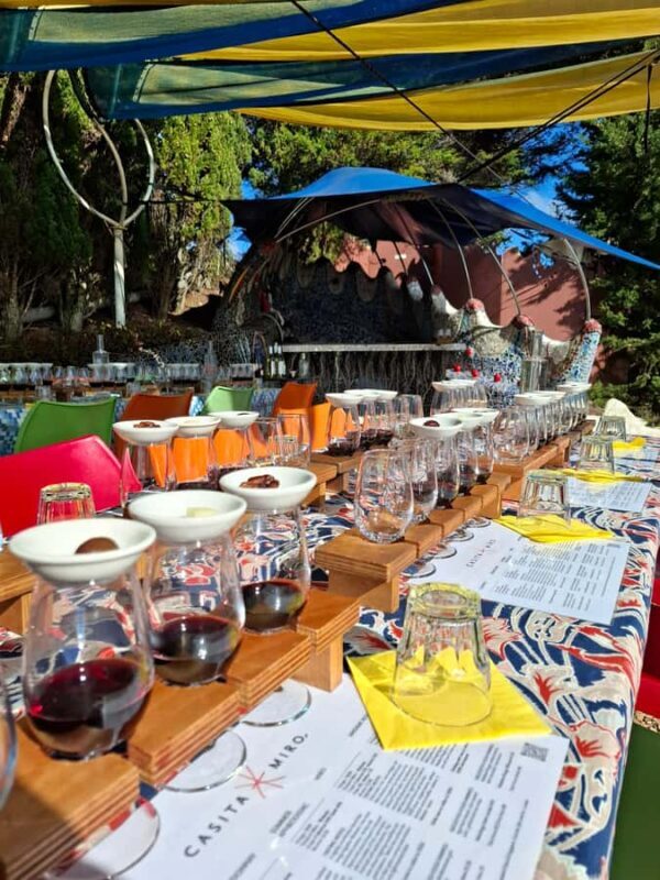 Waiheke Island: Sip and Savor 3 Vineyards Tour with Lunch - Practical Details & What to Keep in Mind