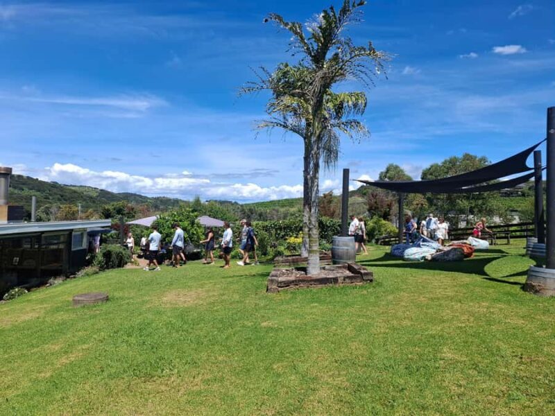 Waiheke Island: Sip and Savor 3 Vineyards Tour with Lunch - FAQ  