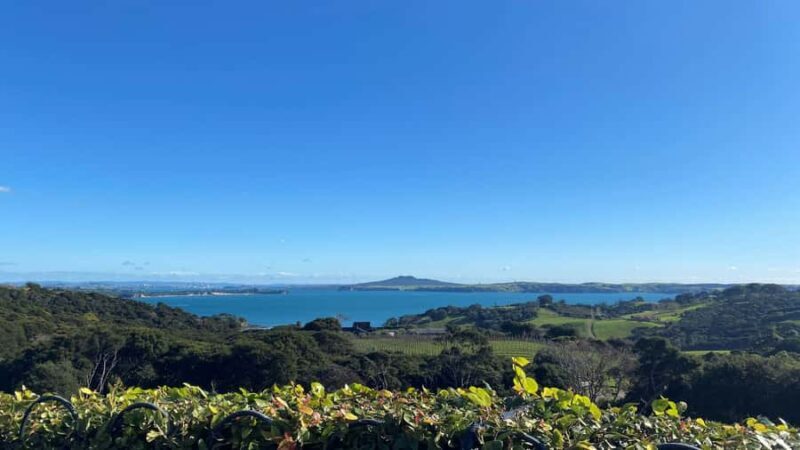 Waiheke Island: The Essence of Waiheke Wine Tour - Key Points