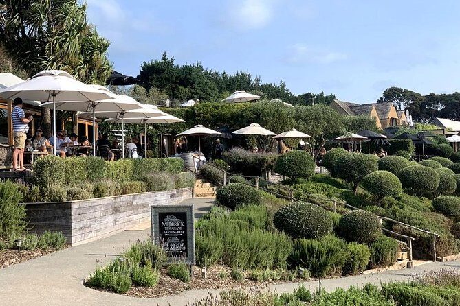 Waiheke Island Vineyards and Bush Walk - The Itinerary: A Day Filled With Scenic Beauty and Fine Wine