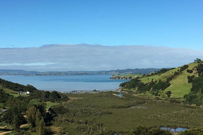 Waiheke Island Vineyards and Bush Walk - Who Would Love This Tour?