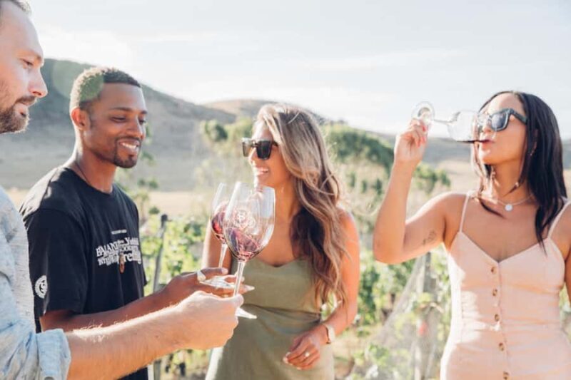 Waiheke Island: Wine Tour & Lunch at Award Winning Venue - A Deep Dive into the Waiheke Wine Tour Experience