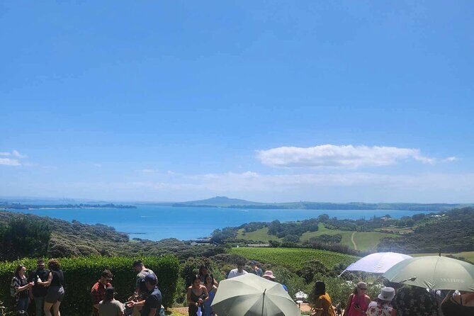 Waiheke Island Wine Tour with Tastings & Gourmet Beachfront Lunch - Key Points