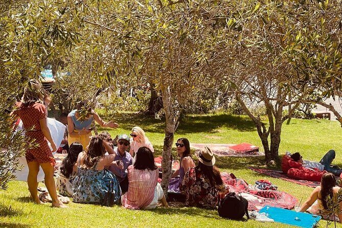 Waiheke Island Wine Tour with Tastings & Gourmet Beachfront Lunch - The Itinerary in Detail