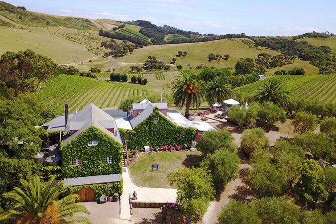 Waiheke Island Wine Tour with Tastings & Gourmet Beachfront Lunch - Frequently Asked Questions