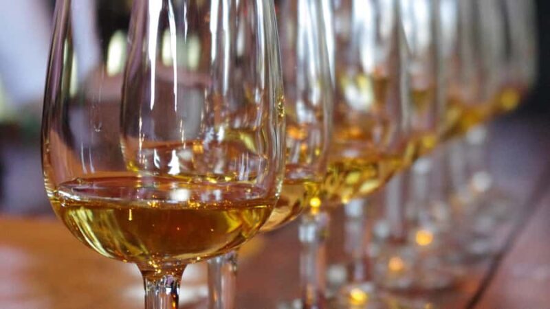 Waiheke Island Wine Tours - PREMIUM Wines - Max 11 clients ! - Key Points