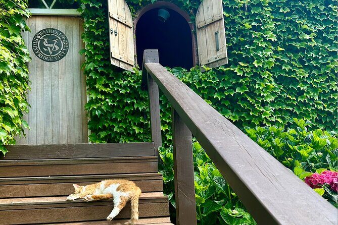 Waiheke island wine tours with Waitiki Tours - Final Thoughts