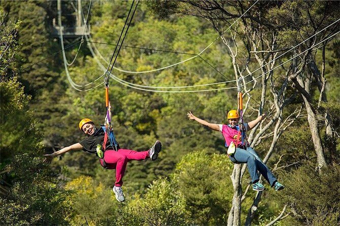 Waiheke Island: Zipline And Forest Walk - FAQs