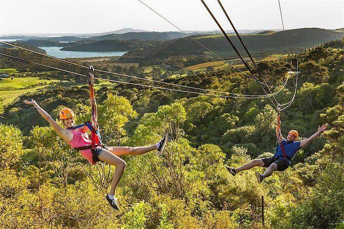 Waiheke Island: Zipline And Forest Walk - Final Thoughts