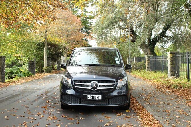 Waiheke Luxury 9 Hour Tour Tailored to You - Who Will Love This Tour?